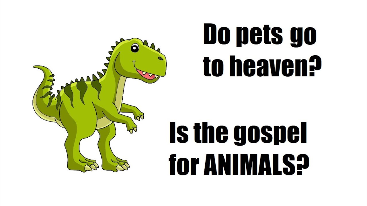Why there will be Dinosaurs in heaven - YouTube