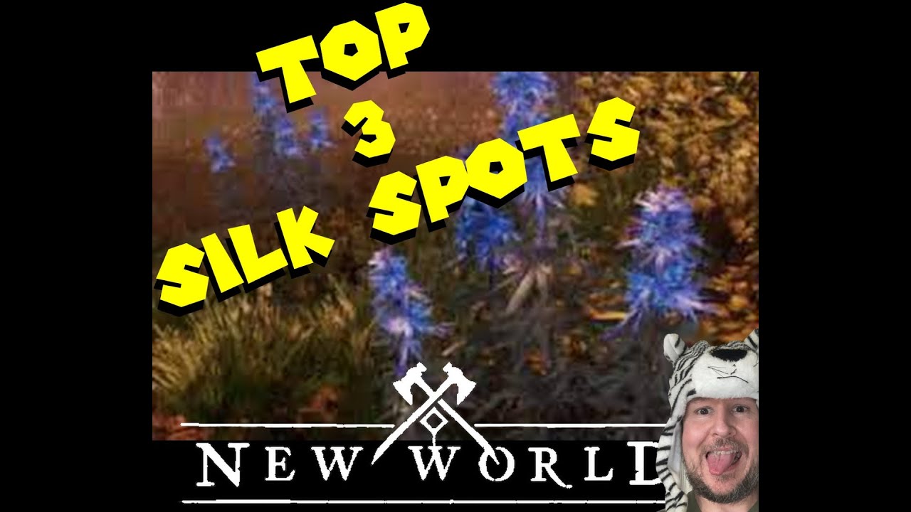 New World-Top 3 silk farm Routes for big gold! - YouTube