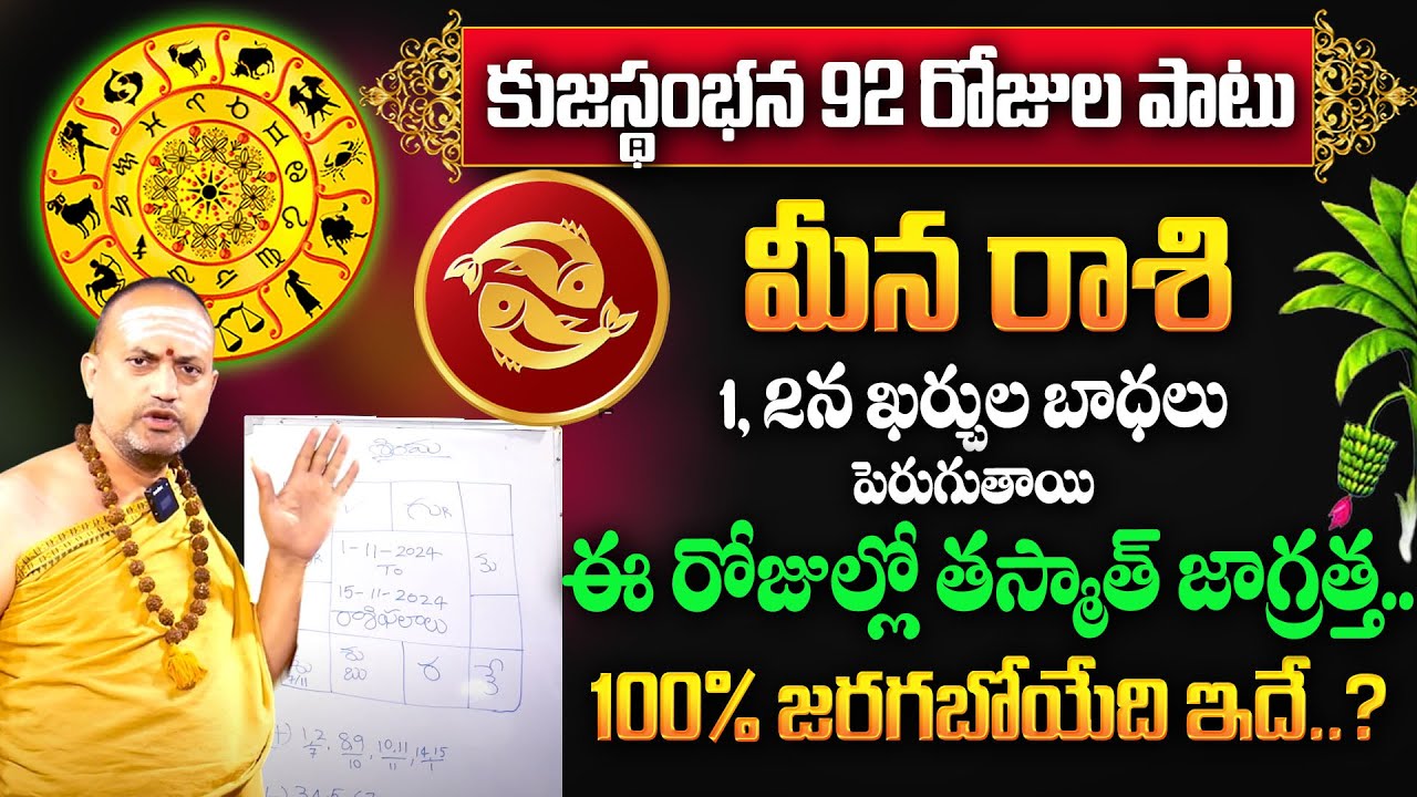 Meena Rashi Phalalu 1 to 15 November 2024 | November Month Horoscope ...