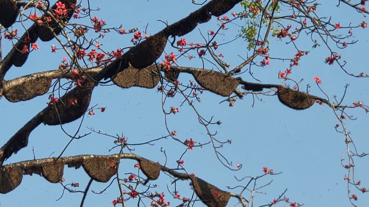 Wayanad Churam unseen views than ever - YouTube