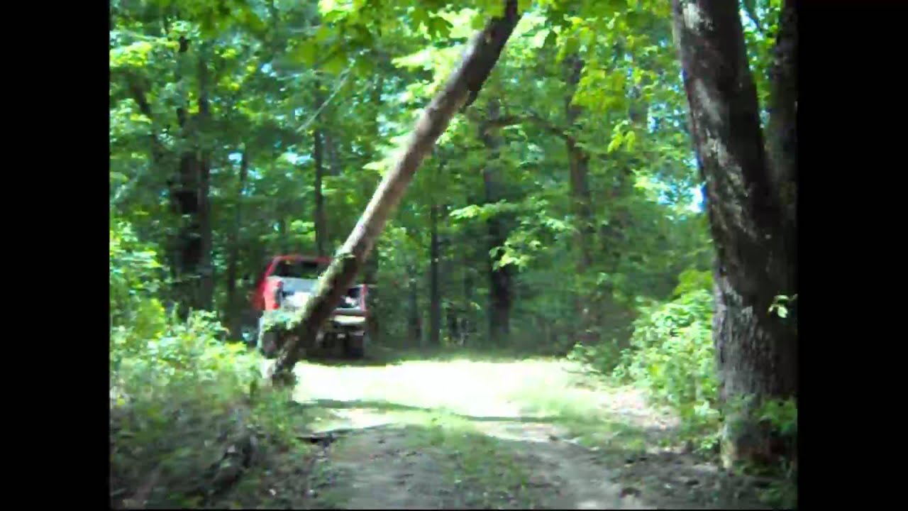 F-250 Pulling Deadfall Tree - YouTube