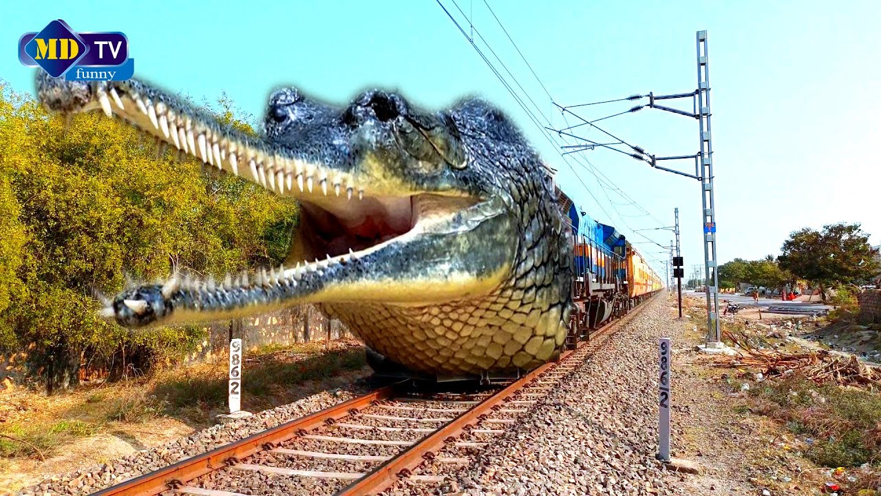 Ghadiyal Magarmach Funny Train Video - Train Aur Ghadiyal Magarmach ...