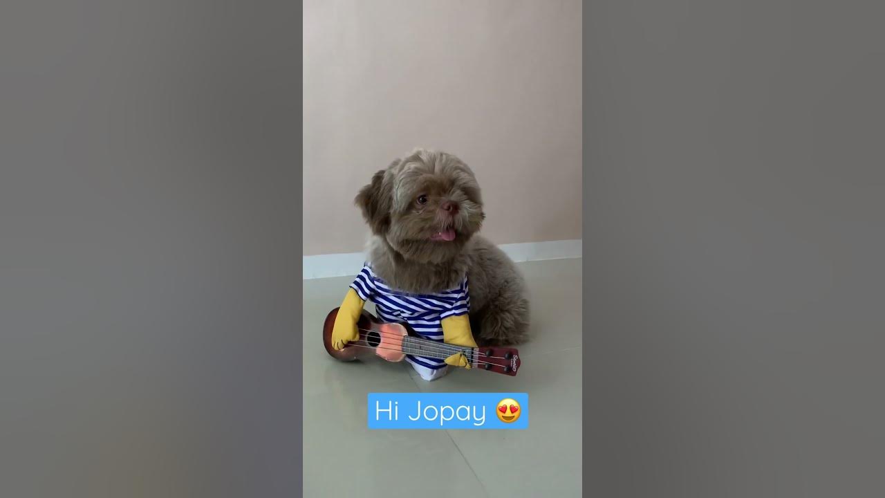 Hi Jopay! 🥰 - YouTube