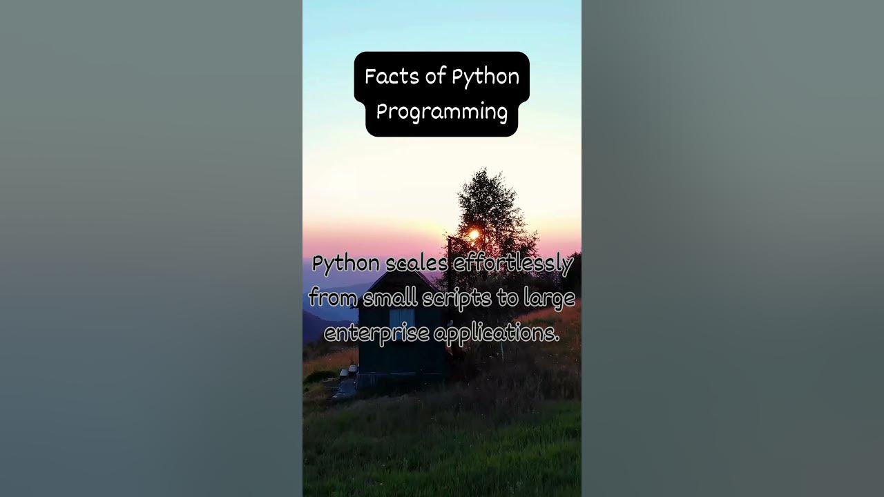This Is Fact Pythonprogramming Python Java Css Motivation Django Youtube
