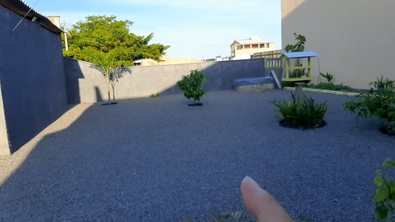 BRITA NO QUINTAL!? VEJA COMO ESTÁ HOJE. #quintallimpo - YouTube