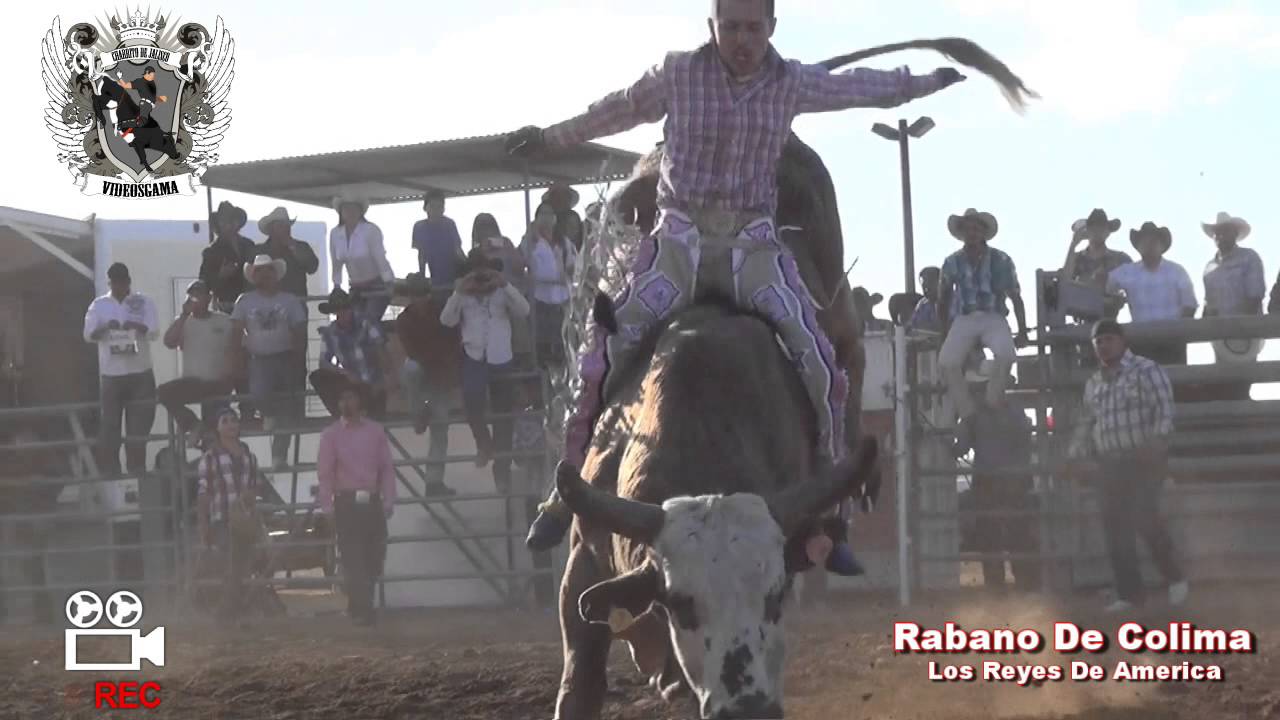 LOS REYES DE AMERICA:----*****----Rabano De Colima----***** - YouTube