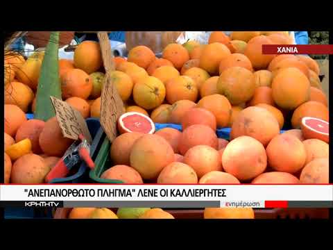 Η ΜΥΓΑ ΤΗΣ ΜΕΣΟΓΕΙΟΥ ΚΑΤΑΣΤΡΕΦΕΙ ΤΗΝ ΠΑΡΑΓΩΓΗ - YouTube