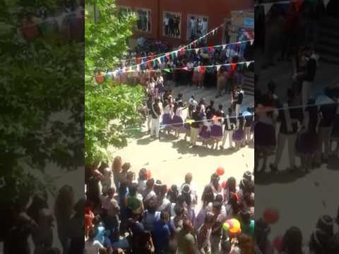 217 sayli mekteb son zeng (11B)