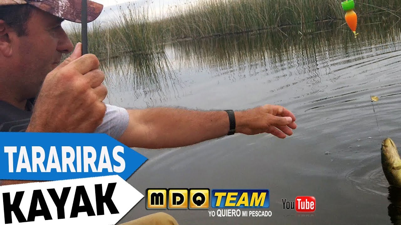 PESCA DE TARARIRAS - YouTube