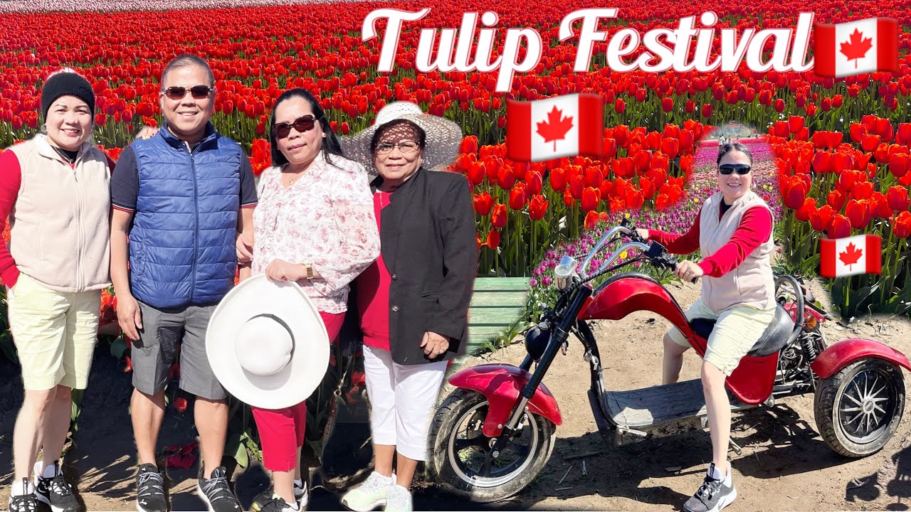 HARRISON TULIP FESTIVAL IN BC CANADA 🇨🇦| MITCH CHILLY - YouTube
