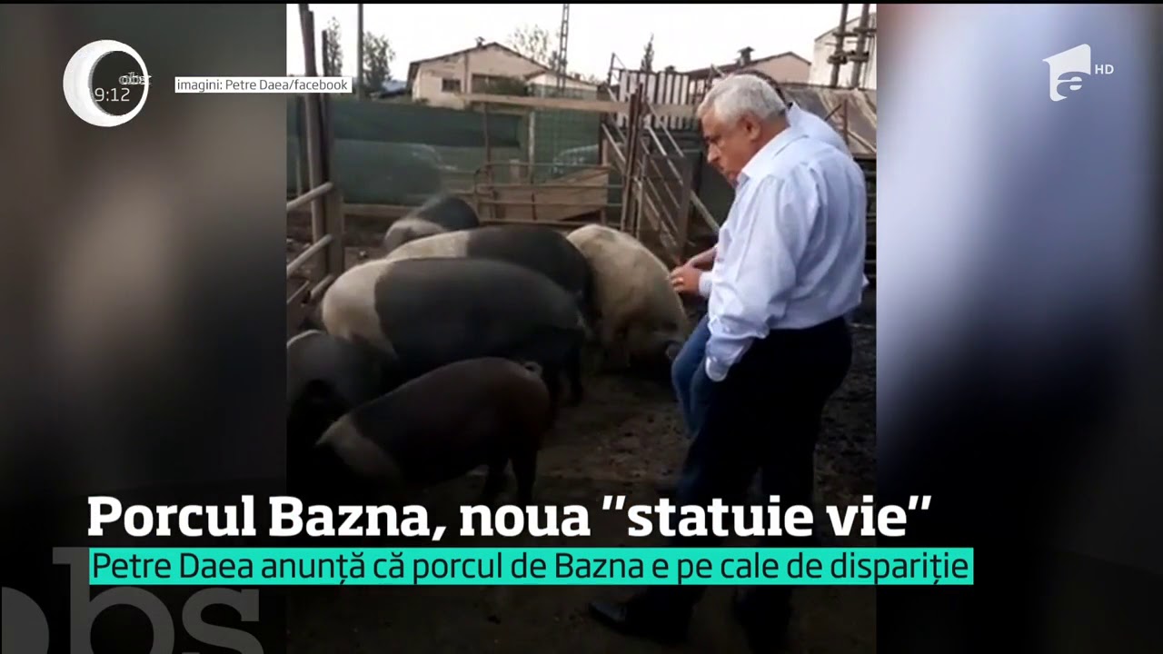 Porcul Bazna, noua statuie vie pentru ministrul Agriculturii - YouTube