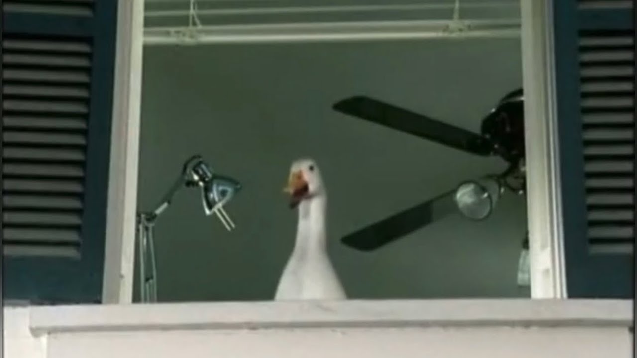 Aflac - Rooftop commercial (2006) - YouTube