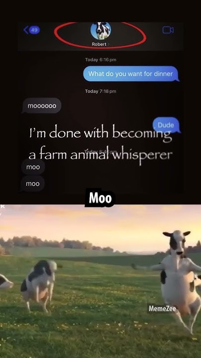 Moo - YouTube