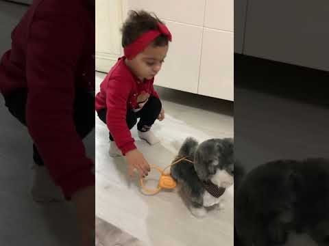 Asele Puffy friends sevimli köpek Mocha suprız oyuncak