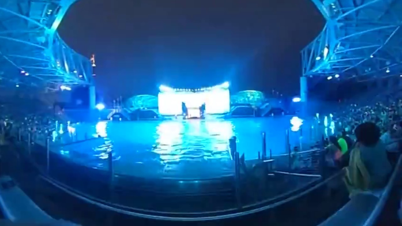 360 Shamu Light Up the Night at SeaWorld Orlando - YouTube