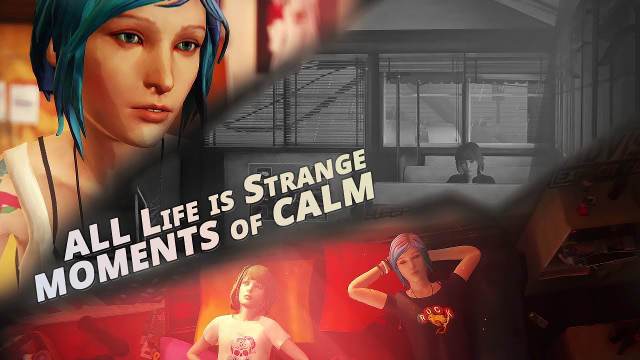 All Moments of Calm | Life Is Strange | No Commentary ASMR - YouTube