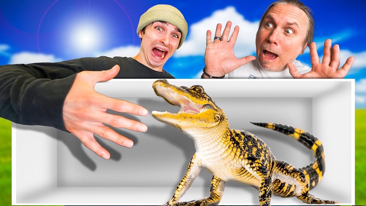 The Ultimate Reptile Challenge! - YouTube