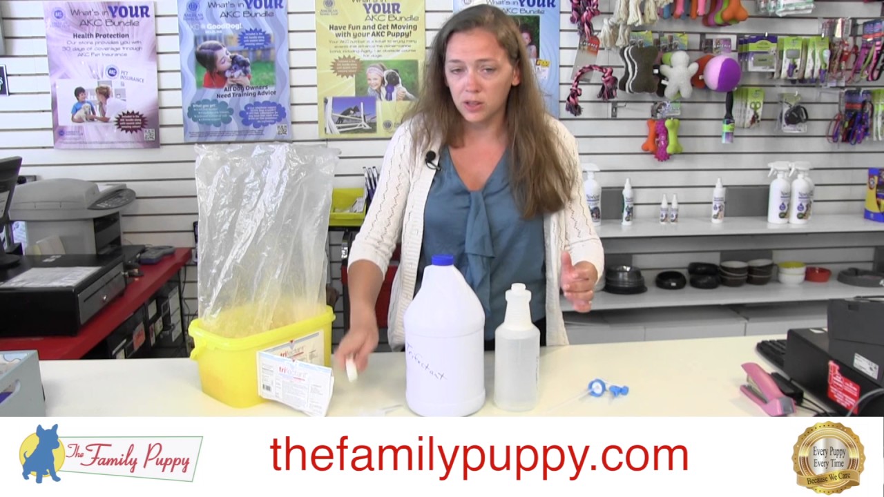 How to Properly Mix Trifectant - YouTube