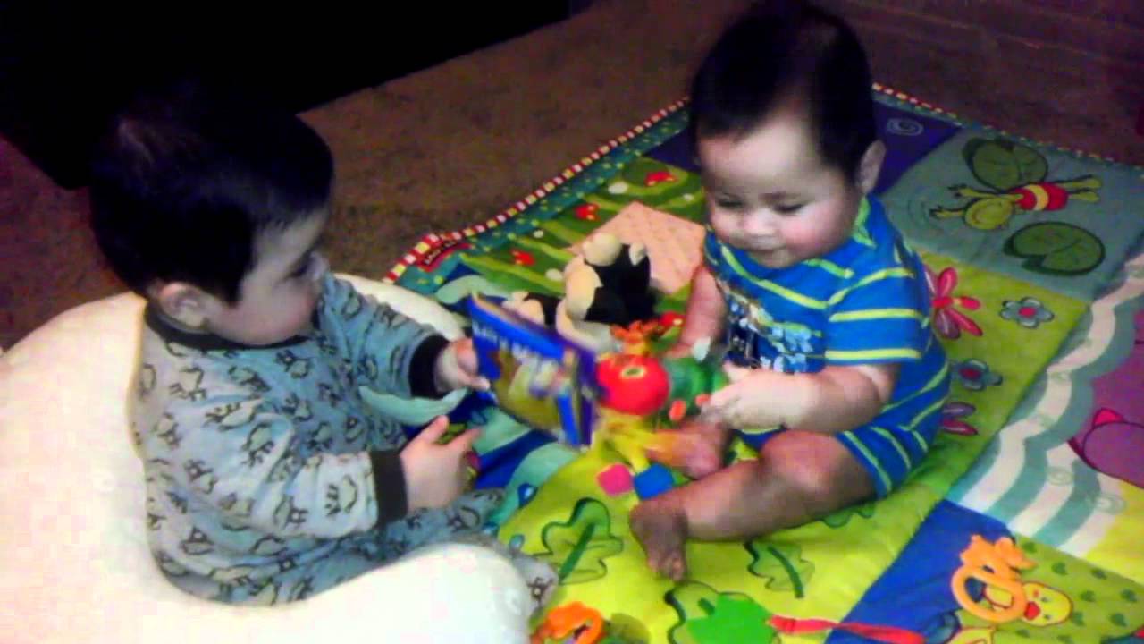 Twin boys fight over book - YouTube