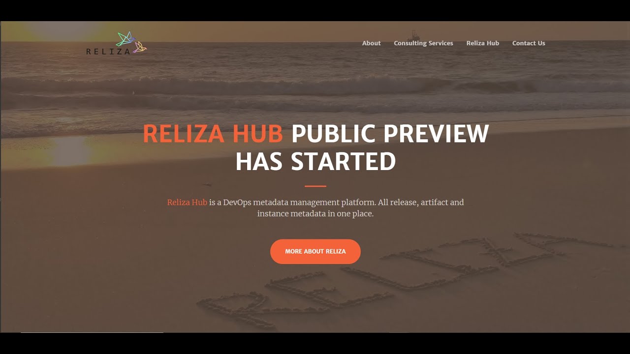 Reliza Hub Playground Tutorial - YouTube