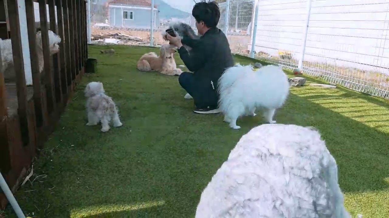 누나와동생만난댕이 Youtube