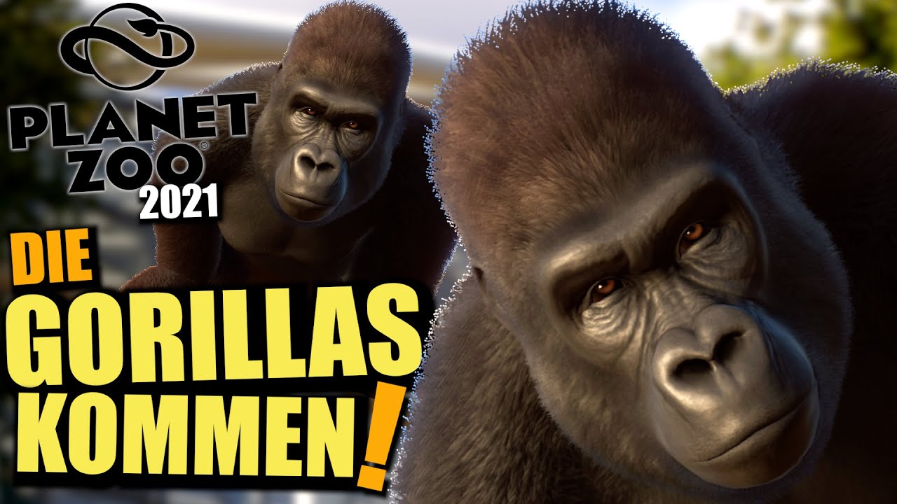 Die Gorillas kommen! - Planet Zoo 2021 - YouTube
