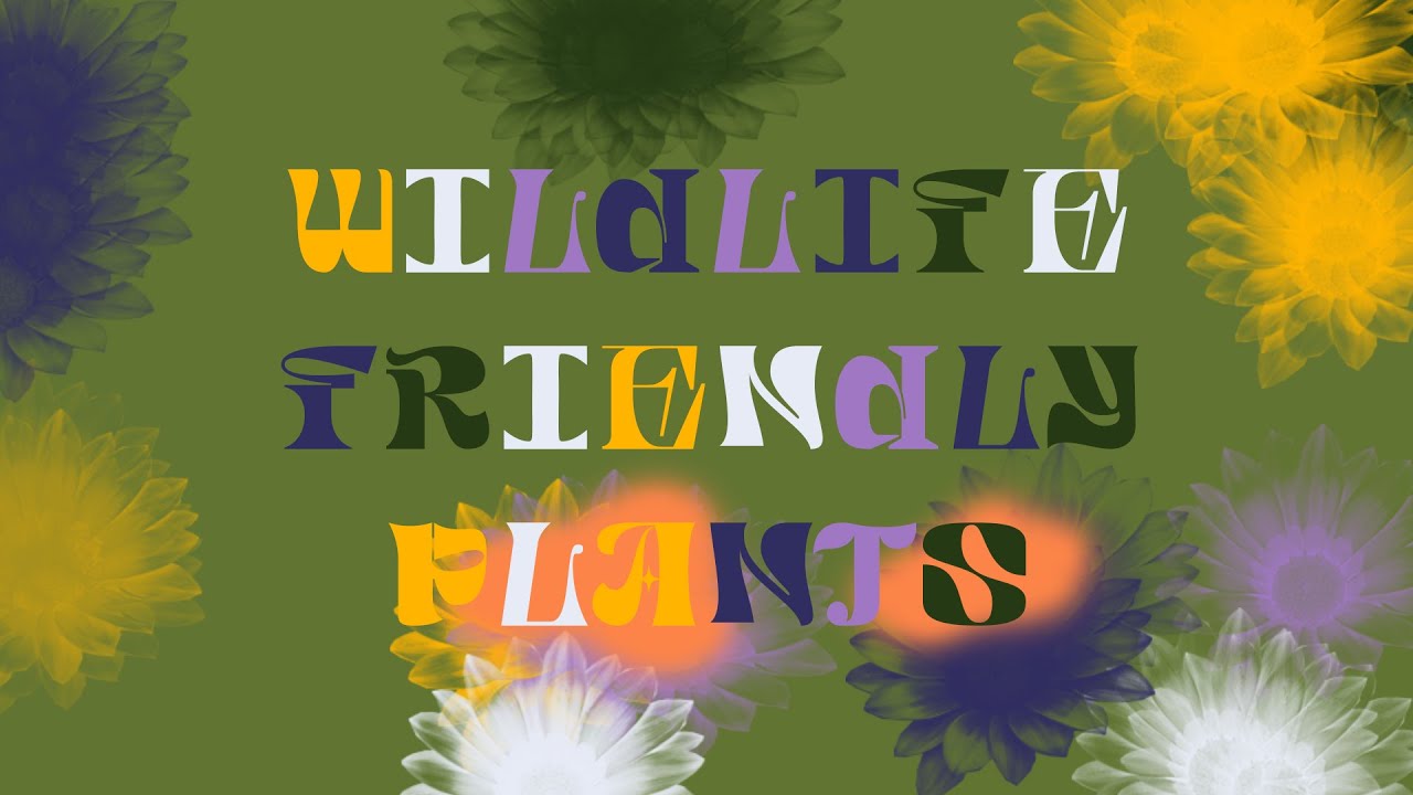 Top 10 Wildlife Friendly Plants