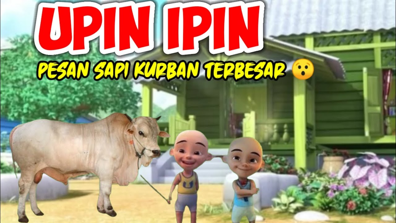 upin Ipin beli sapi kurban Limosin 1ton😮, Ipin senang gta lucu san ...