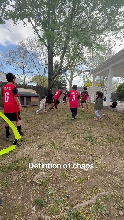 I think if you looked up the definition of chaos in the dictionary this ...