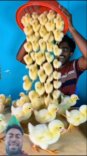 Ah eh oh #funny #comedy - YouTube