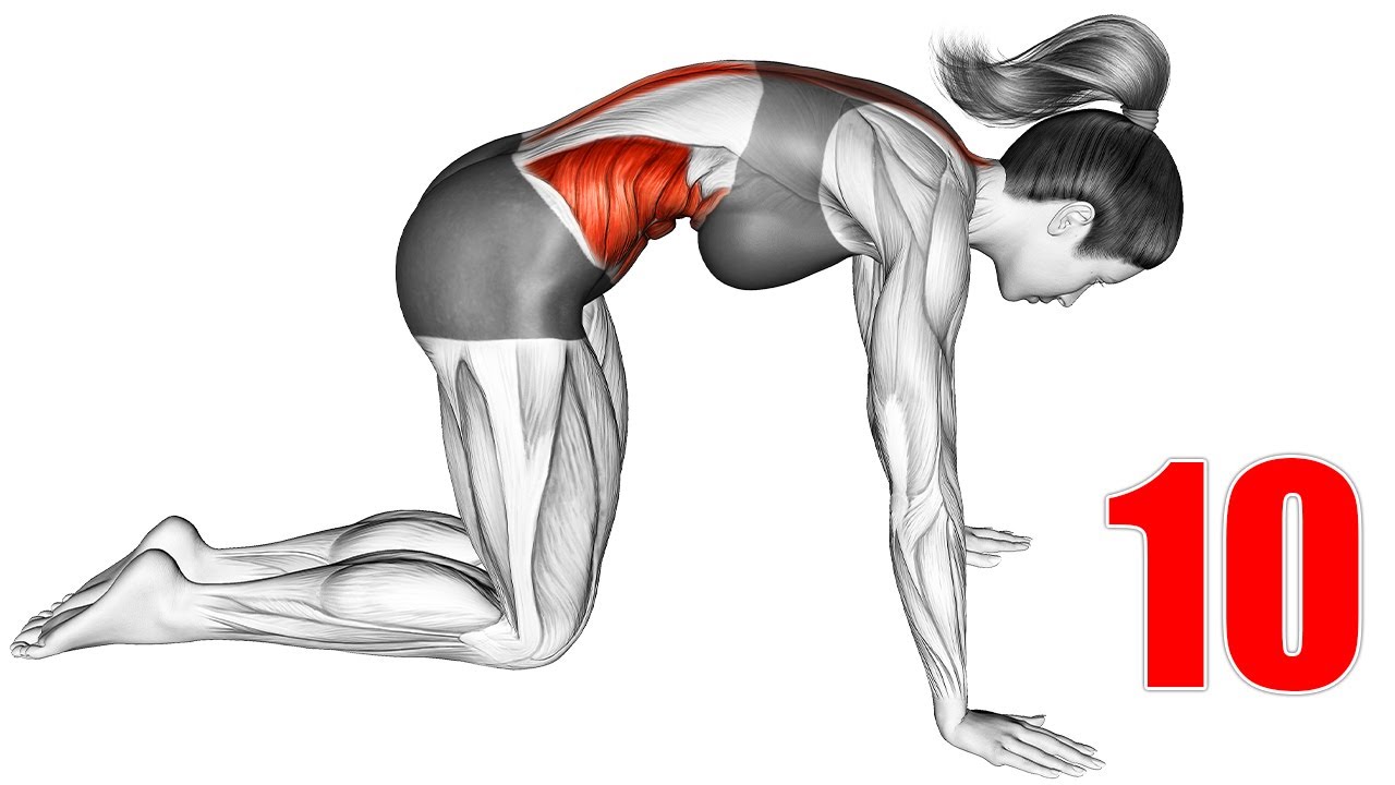 Best Modern Home Stretching Exercises For Health (Follow Along Science ...