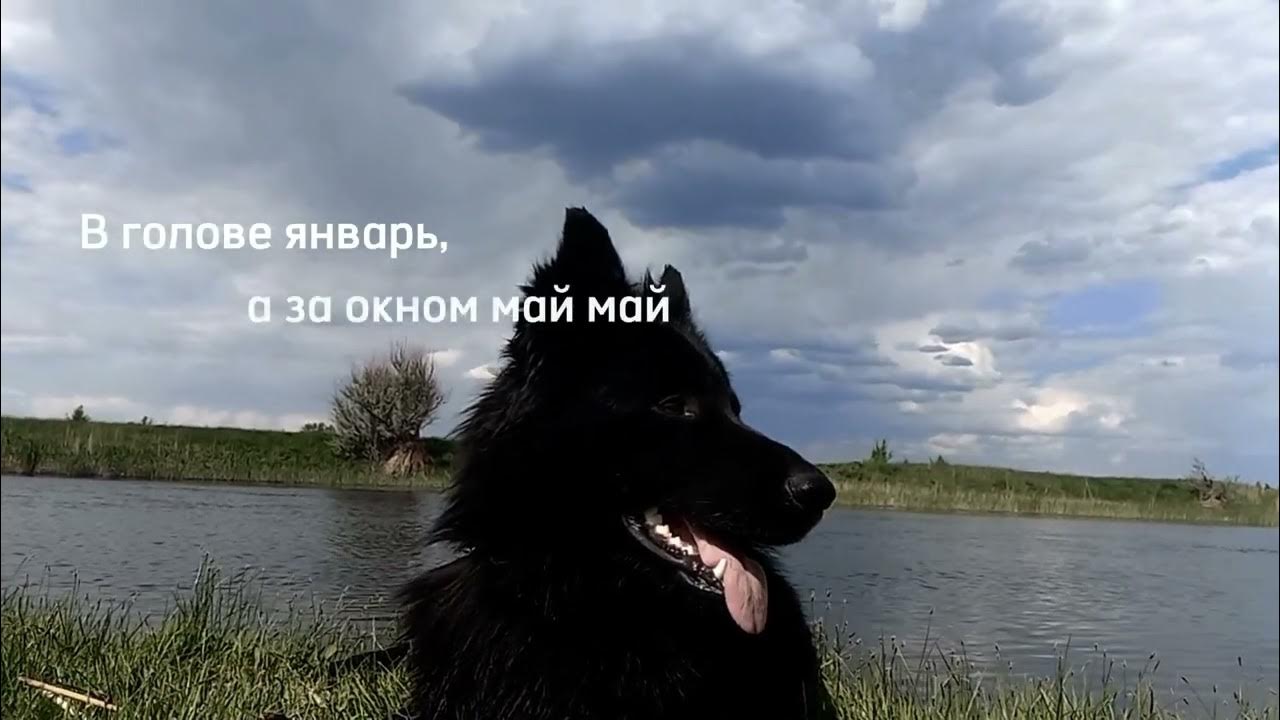 дадад - YouTube