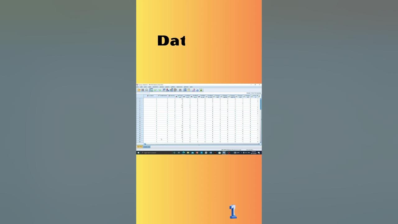 Data Editor Window in SPSS - YouTube