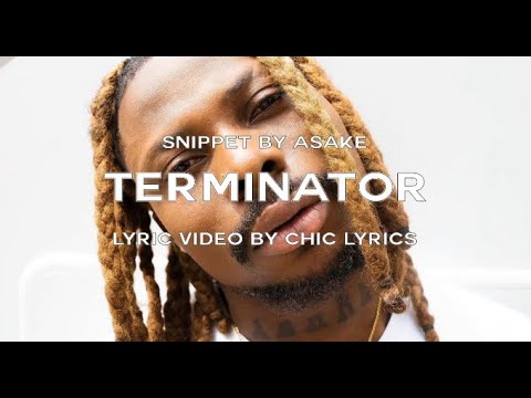 Asake Terminator Lyrics snippet - YouTube