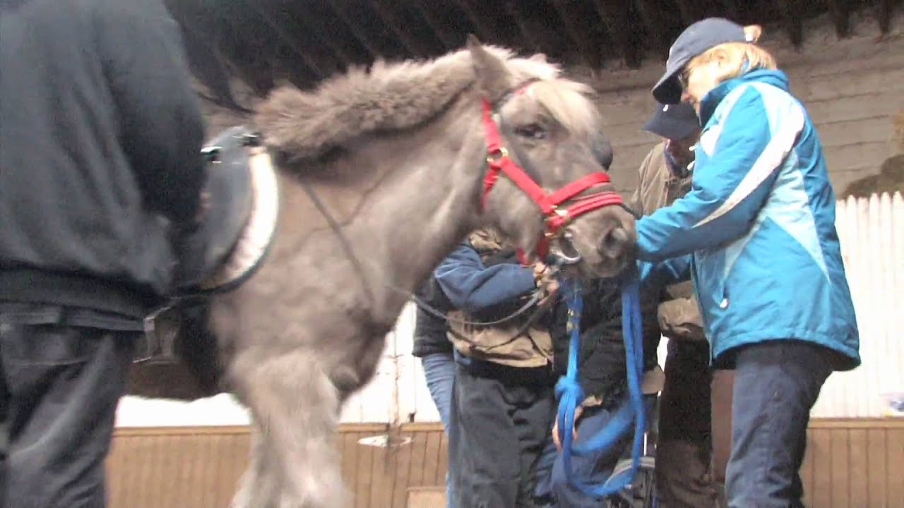 James visits GALLOP - YouTube