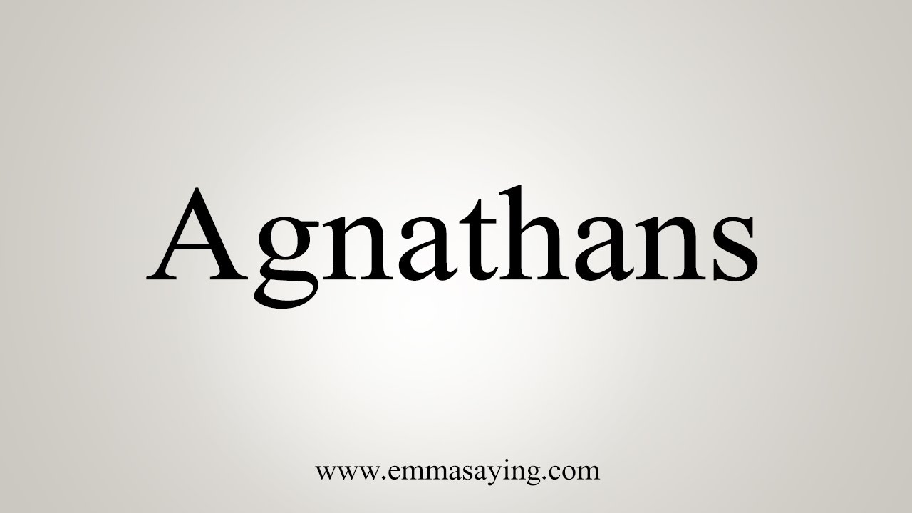 How To Say Agnathans - YouTube