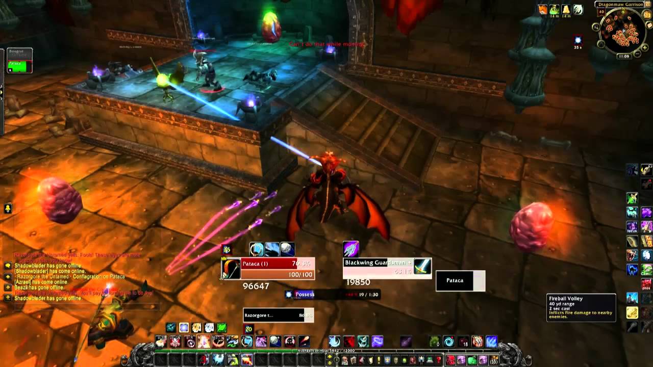 Hunter solo Razorgore the Untamed - YouTube