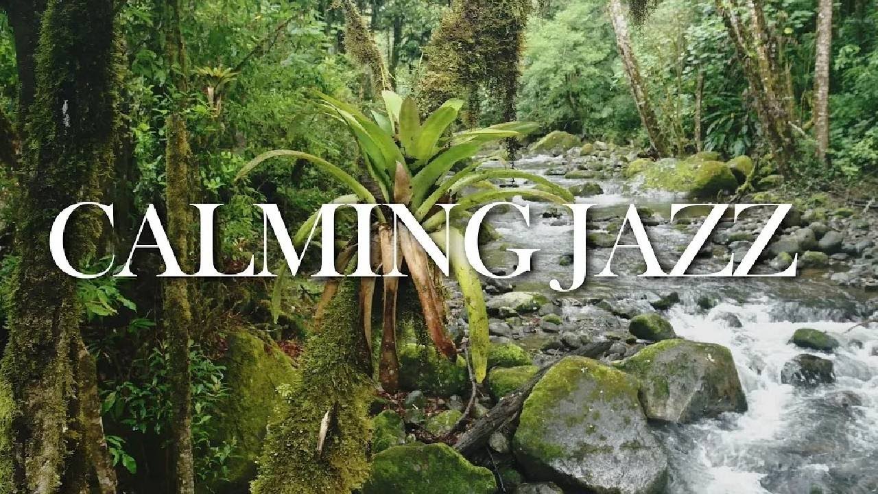 [4K] 1- Hour Calming Jazz in the Jungle - YouTube