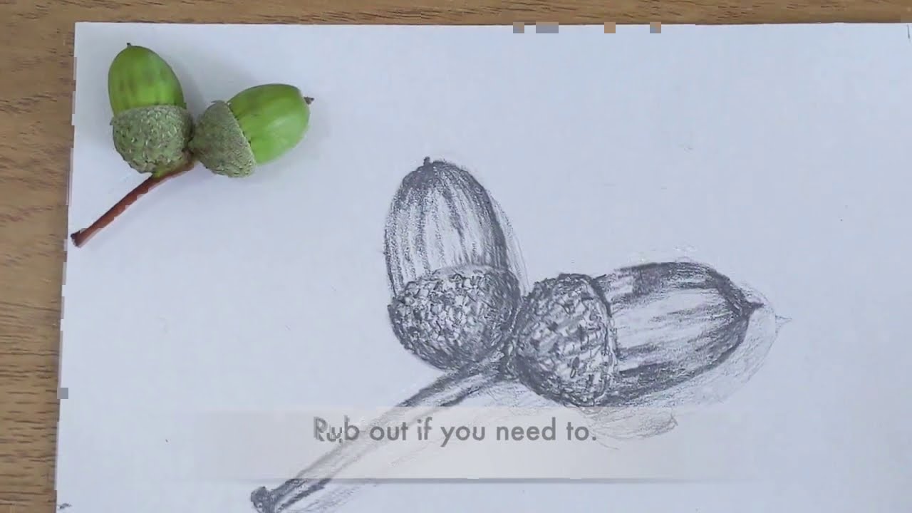 Acorn tonal pencil drawing - YouTube