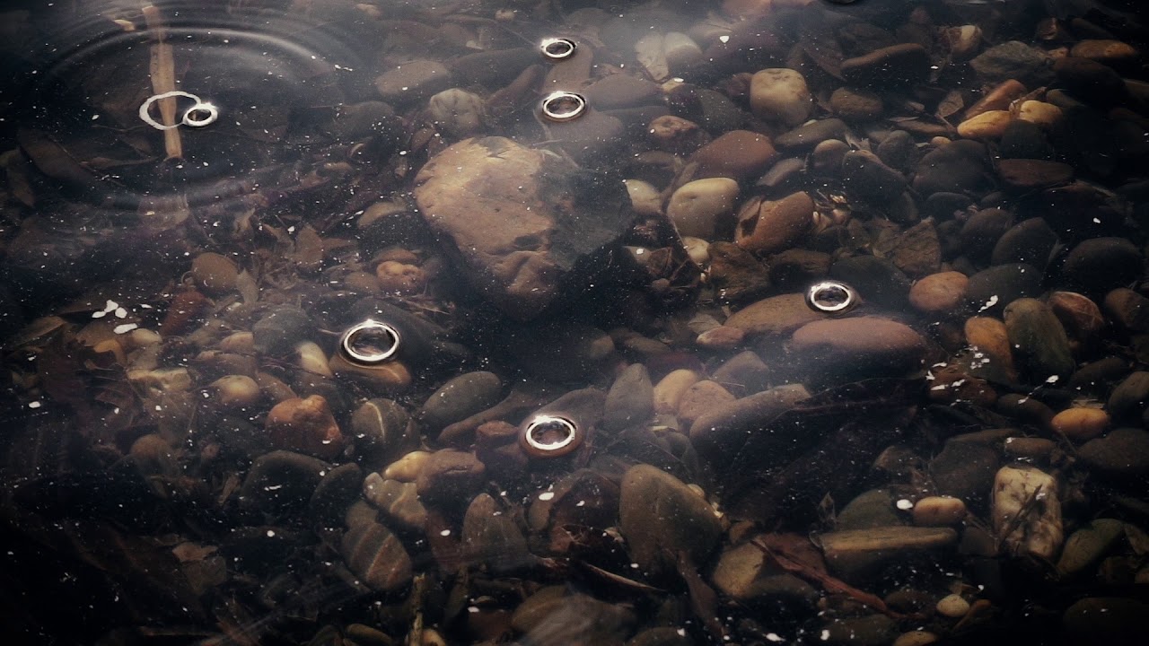 Dark Rocks in Still Pool of Water River Ocean HD Video Scene Loop ...