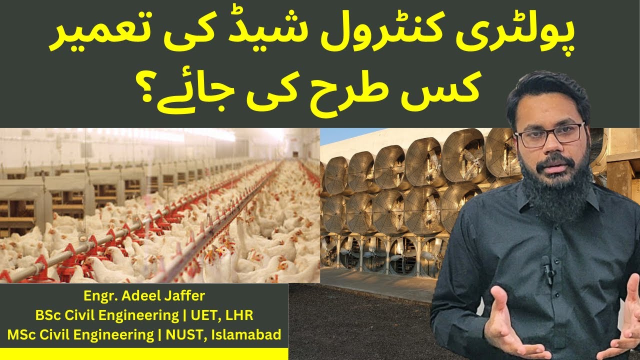 Control Shed Poultry farm Design and Feasibility - YouTube