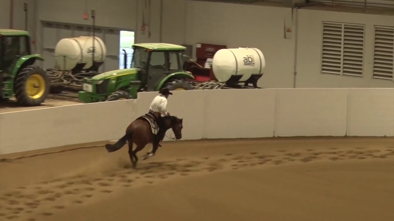 191005 open futurity Finals Pierre Luc Phaneuf on This Chicks Cashinin ...