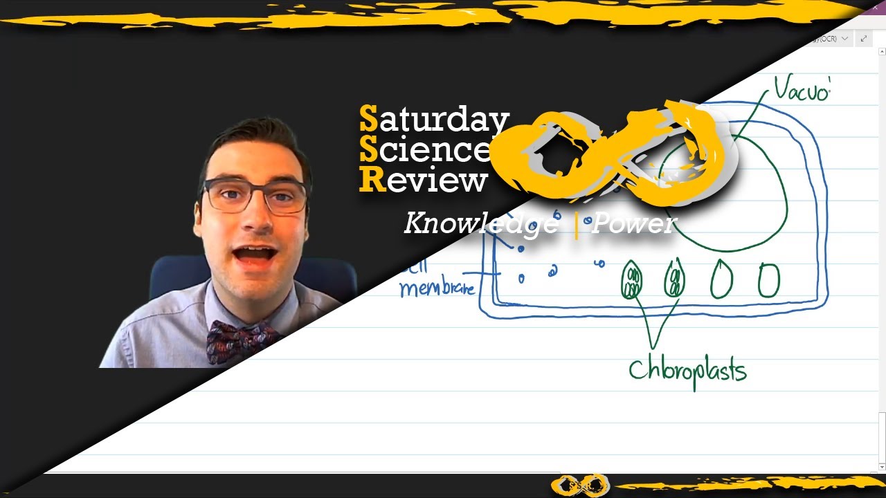 B1 - Cell Level Systems (OCR Combined Science) - YouTube