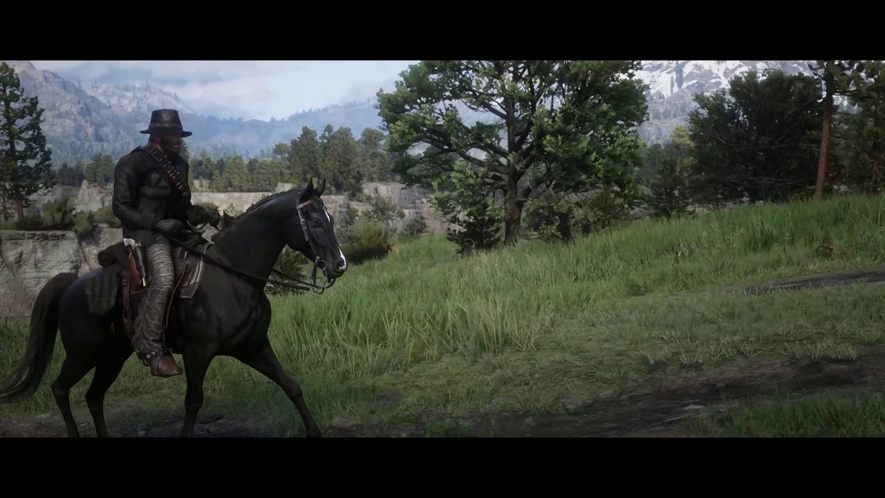 Red Dead Redemption 2 PC - Black Arabian Horse Showcase - YouTube