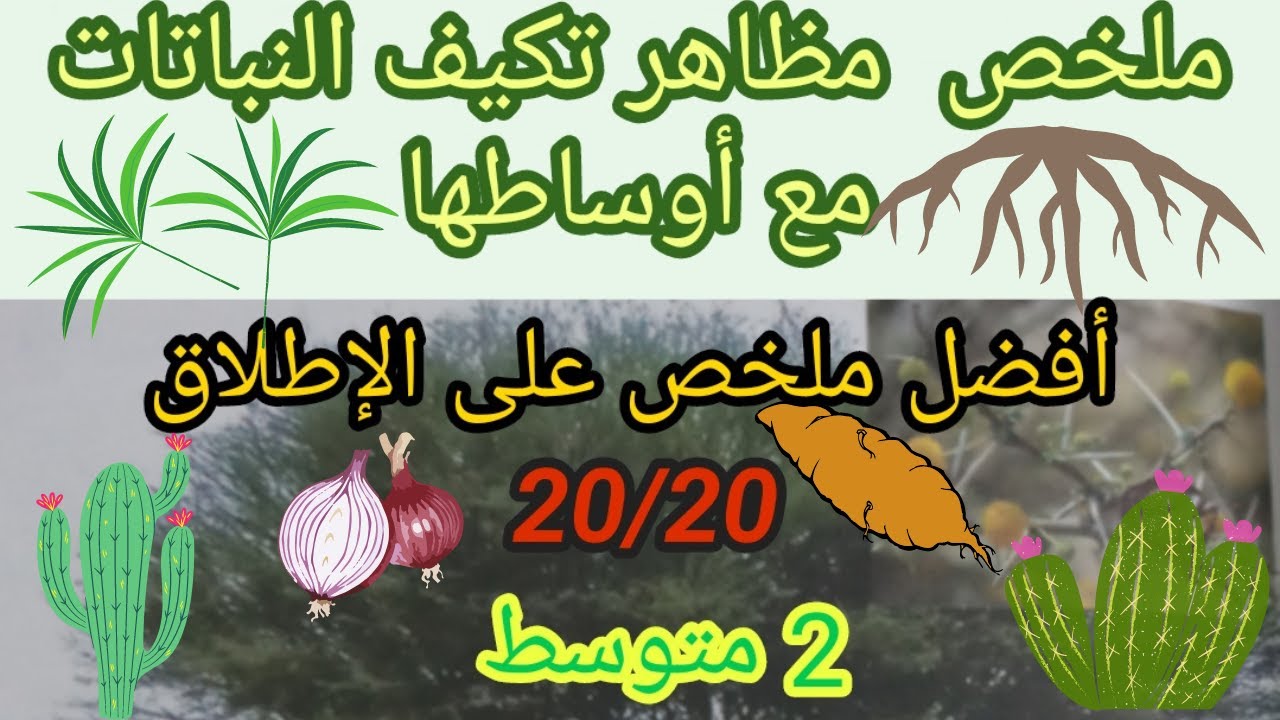 ملخص مظاهر تكيف النباتات مع أوساطها تحورات المجموع الجذري🌾والخضري🌵علوم