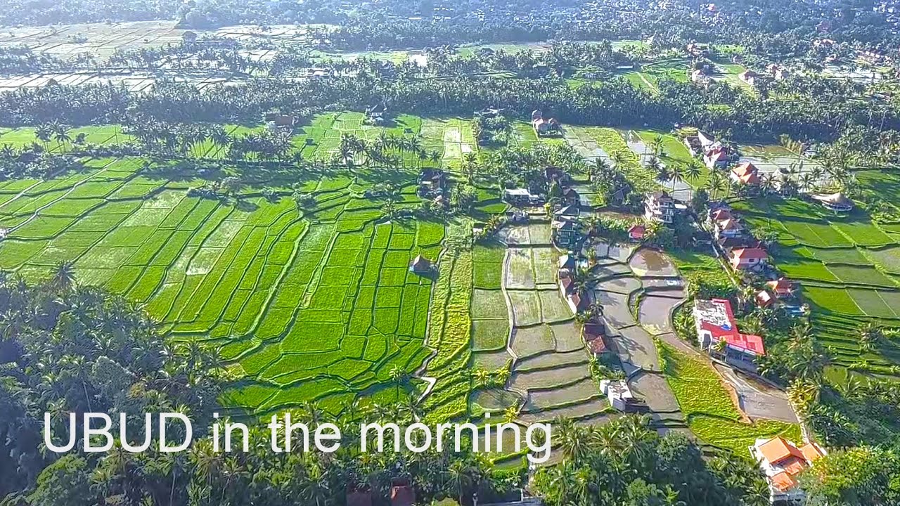 Ubud Bali in the morning view from above - YouTube