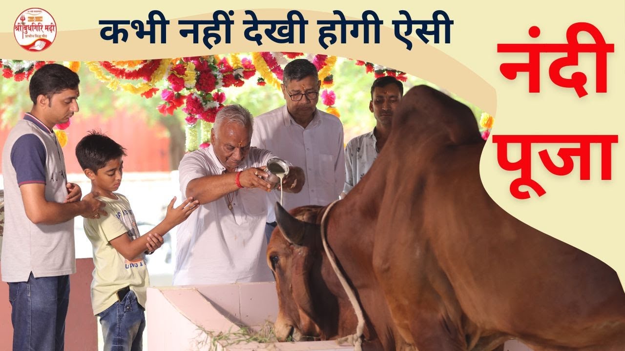 Gau Mata | Nandi Puja | Gaushala Mandir | Kamdhenu Gaushala Fatehpur ...