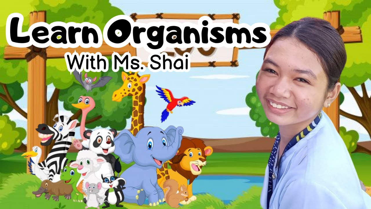 Learn Organisms with Ms. Shai - Animal Sounds, Nursery Rhymes & Kids ...