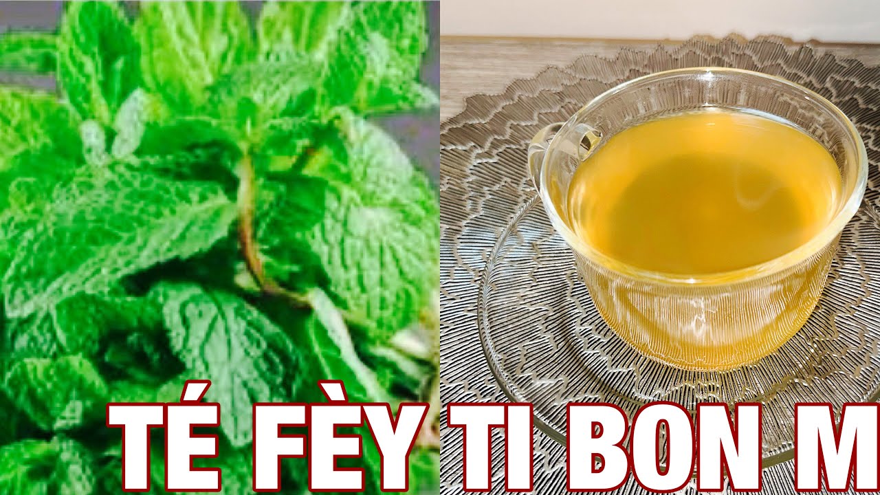 BYEN FÈ TI BON M TOUT FANM TA DWE KONNEN FÈY MÈVÈY SA FÈY MIRAK SA ...