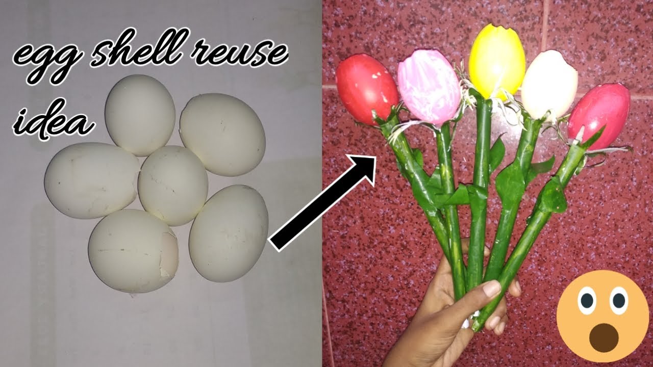 Egg shell reuse idea | Egg shell to flower | DIY - YouTube